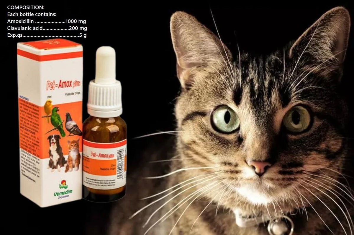 PET-AMOX PLUS | Batnanpharma