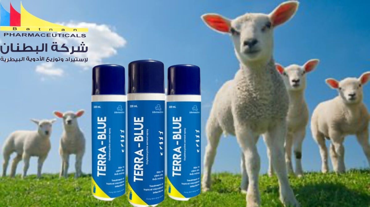 TERRA - BLUE | Batnanpharma