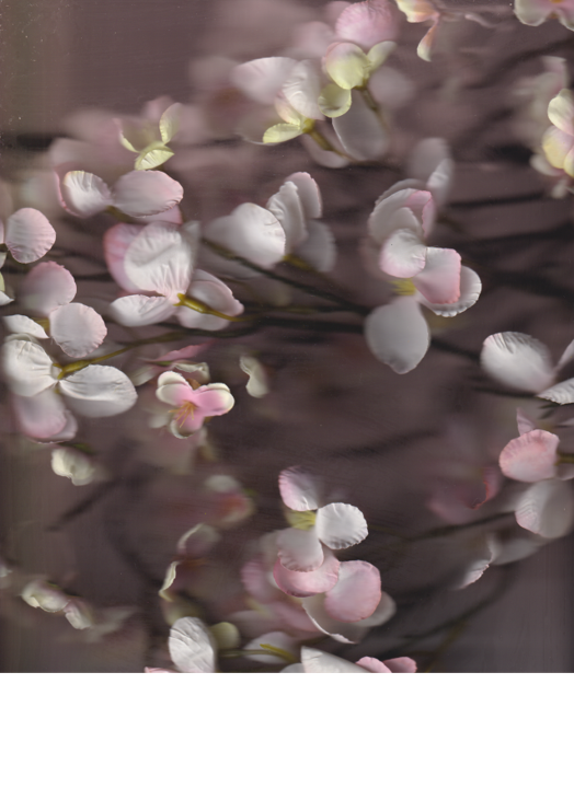 scan work | Hello... I am