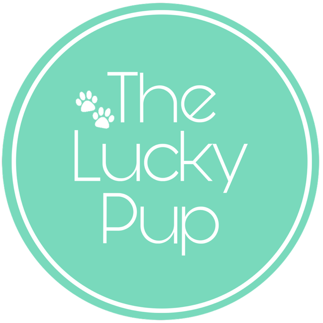 Home; The Lucky Pup; theluckypup.org