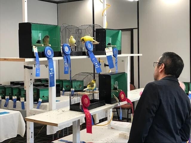 Annual Fall Classic & Bird Mart | Maryland All Canary Club