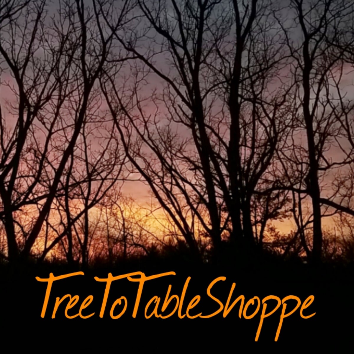 .Tree·To·Table Syrups. | Ethical Asana