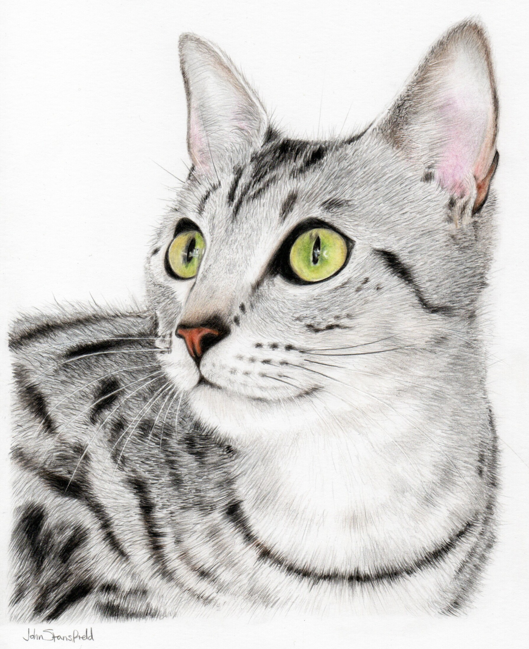 Downloads | John Stansfield Art