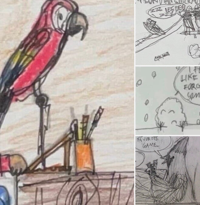Comic Collections—Caches | The Bird Birds