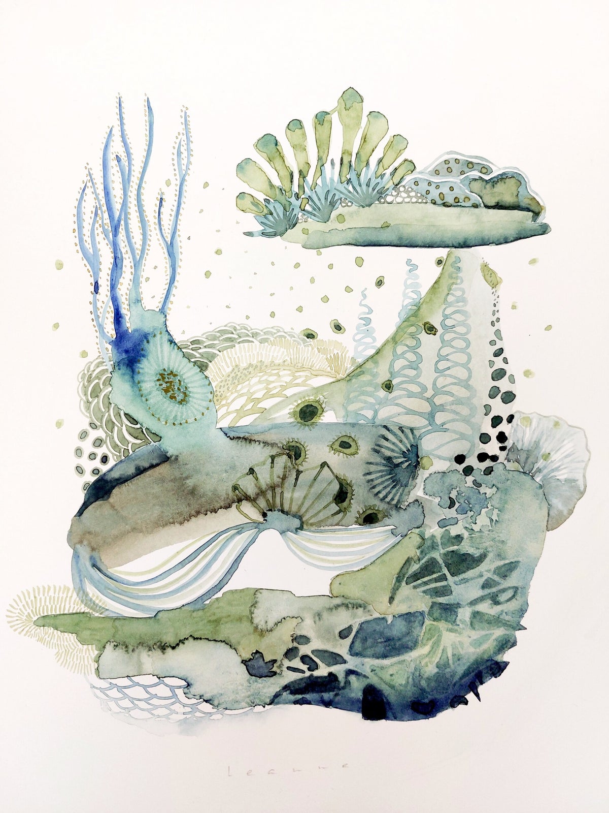 Water Corals / Watercolour Drawings | Leanne Buskermolen Originals