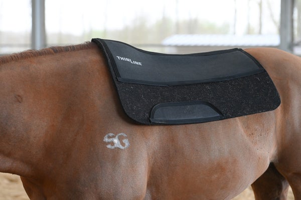 Thinline - Western Saddle Pad black felt liner | Poppy’s Horse Shop