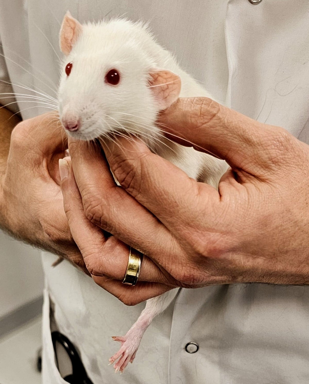 Berichten | Greenrats