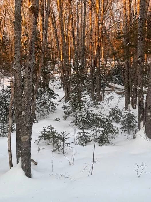 February Fifteen Blog Below Half Empty