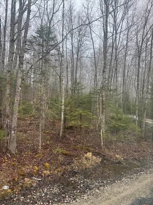 April Twenty Three Blog Below Half Empty