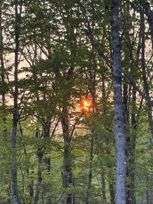 June Two Blog Below Half Empty