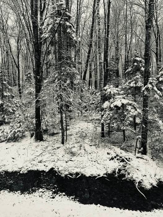 April Nine Blog Below Half Empty