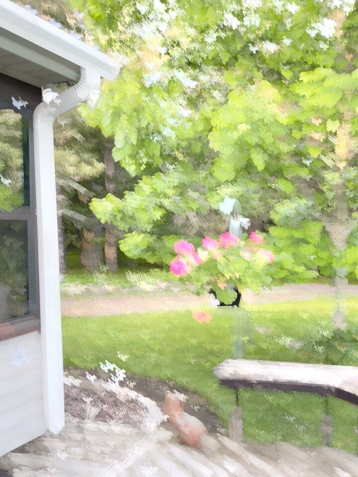 Morning Comes Blog Below Half Empty