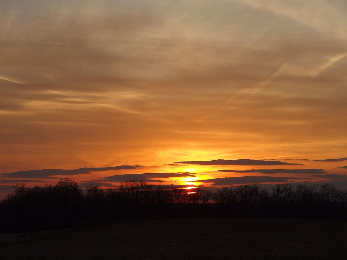 I Am Safe Blog Below Half Empty