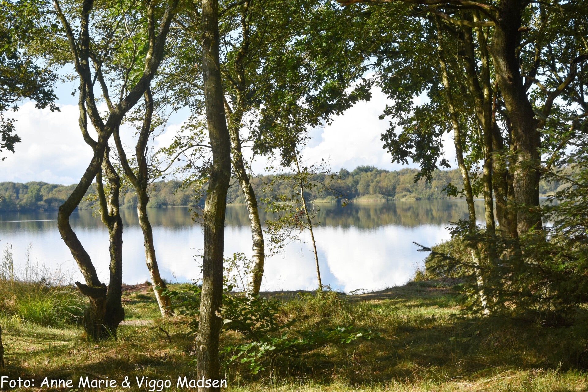 Kvie Sø / Oversigt over gode steder at besøge / Oplev naturen i Danmark ...