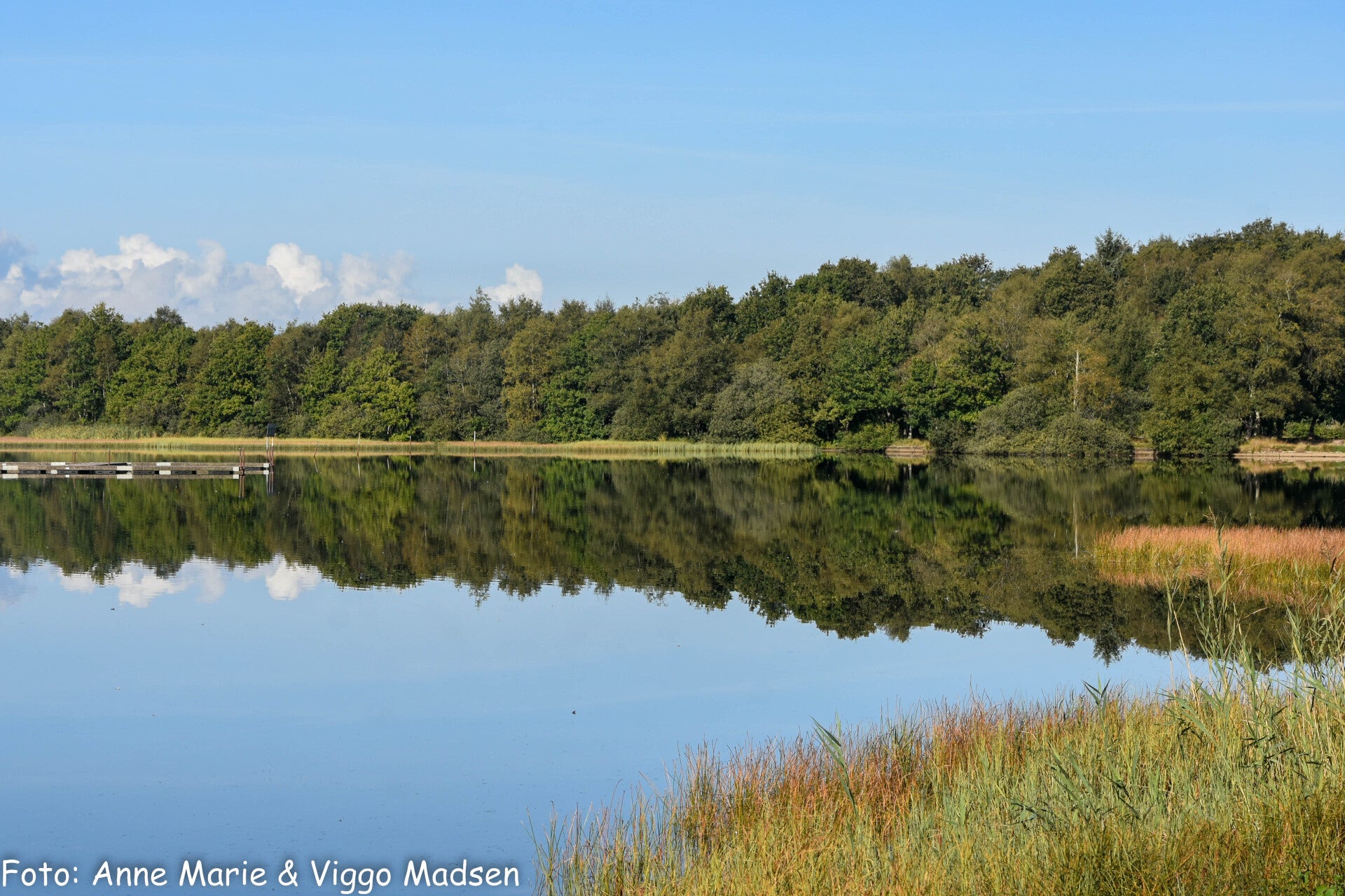 Kvie Sø / Oversigt over gode steder at besøge / Oplev naturen i Danmark ...