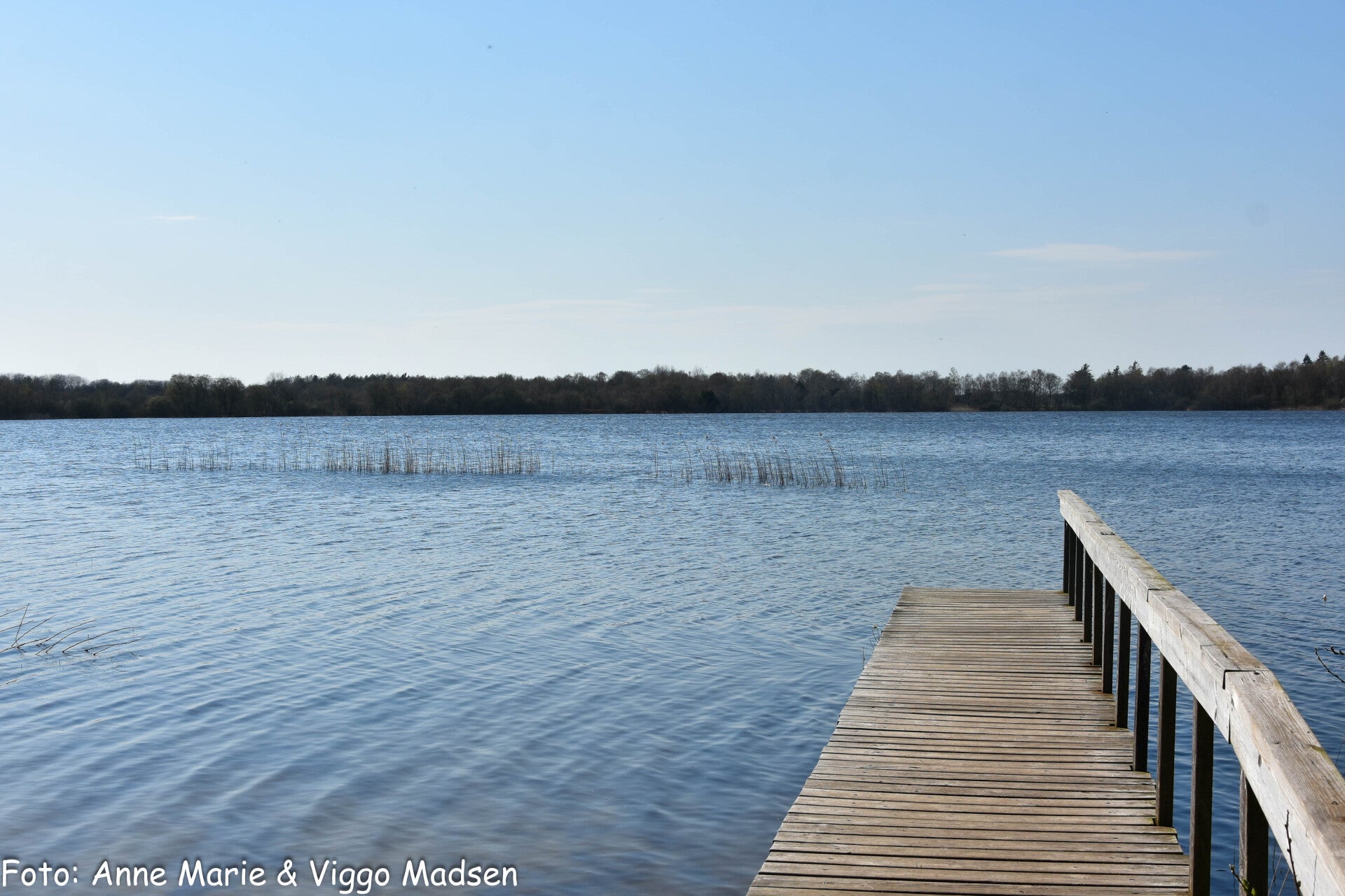 Kvie Sø / Oversigt over gode steder at besøge / Oplev naturen i Danmark ...