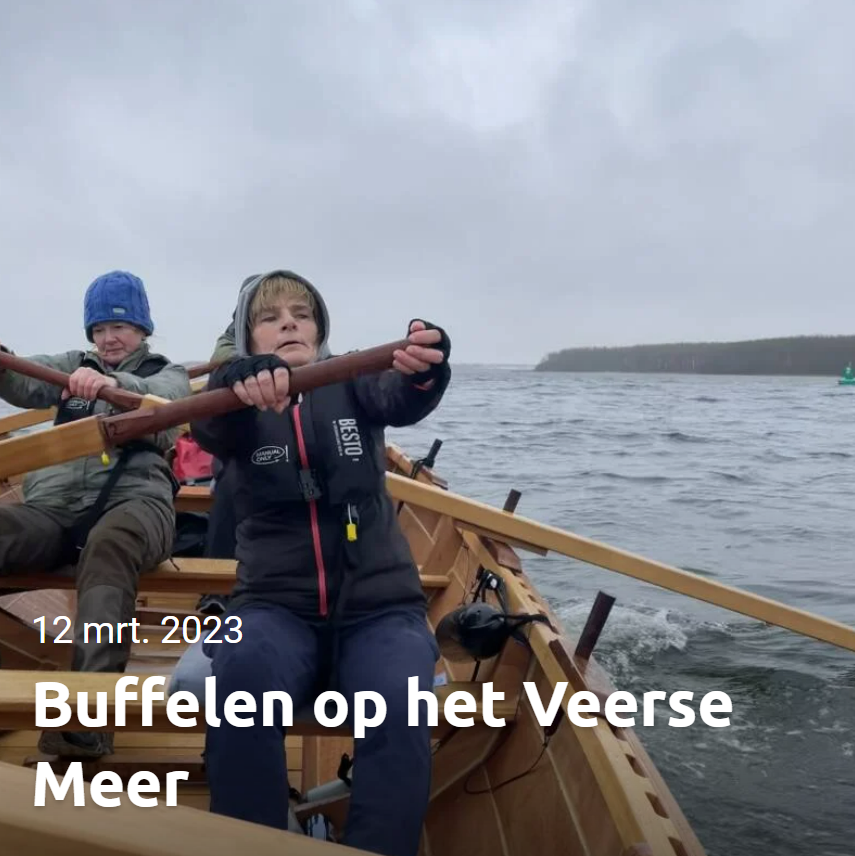 St Ayles Skiff roeien in Zeeland