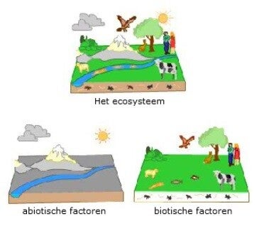 1.15. Biotisch en abiotisch / K6 Plant en dier / Bovenbouw vmbo ...
