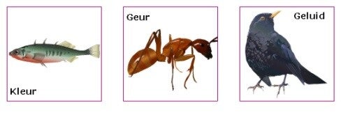 1.1. Wat is gedrag / V2 Gedrag. / Bovenbouw vmbo | biologie voor het ...