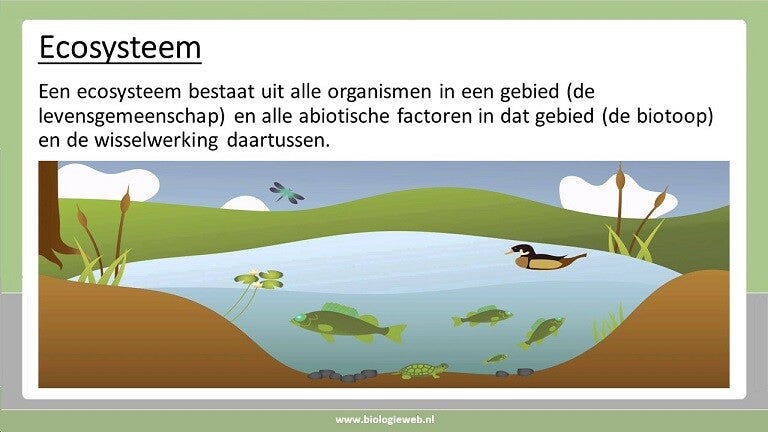 1.15. Biotisch en abiotisch / K6 Plant en dier / Bovenbouw vmbo ...