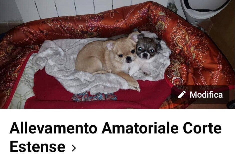 Allevamento corte estense