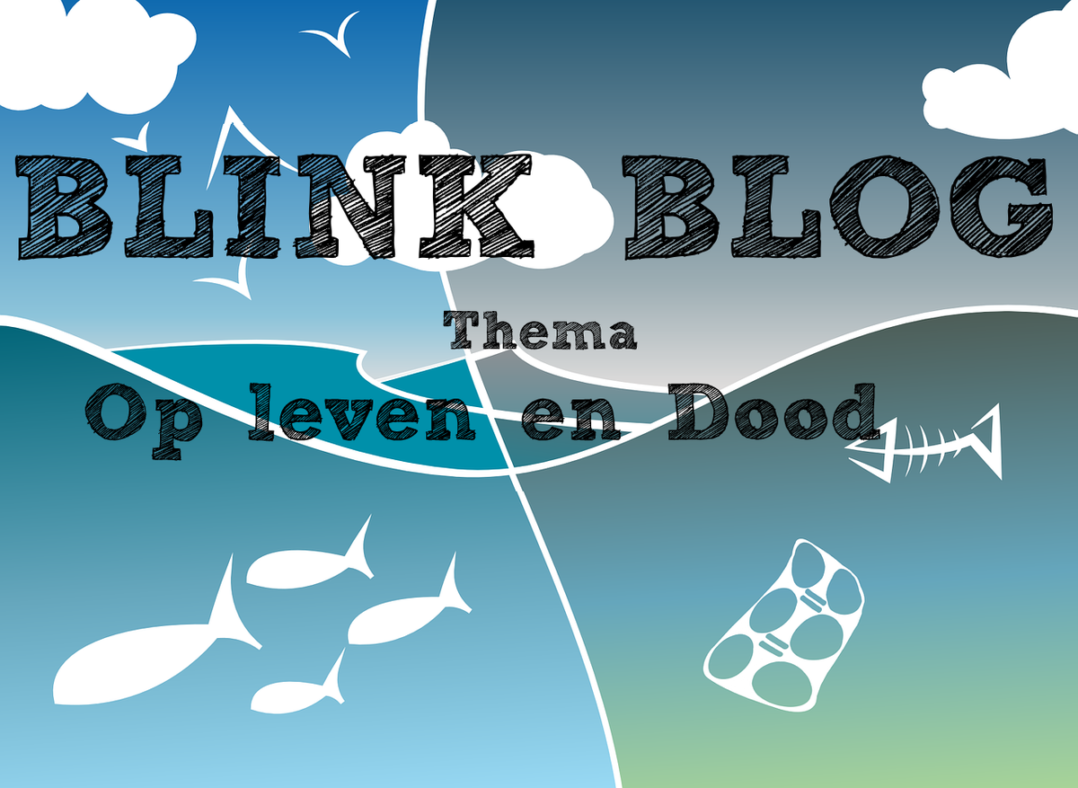 BLINK geïntegreerd 7/8 / Bovenbouw | Meestermagazijn