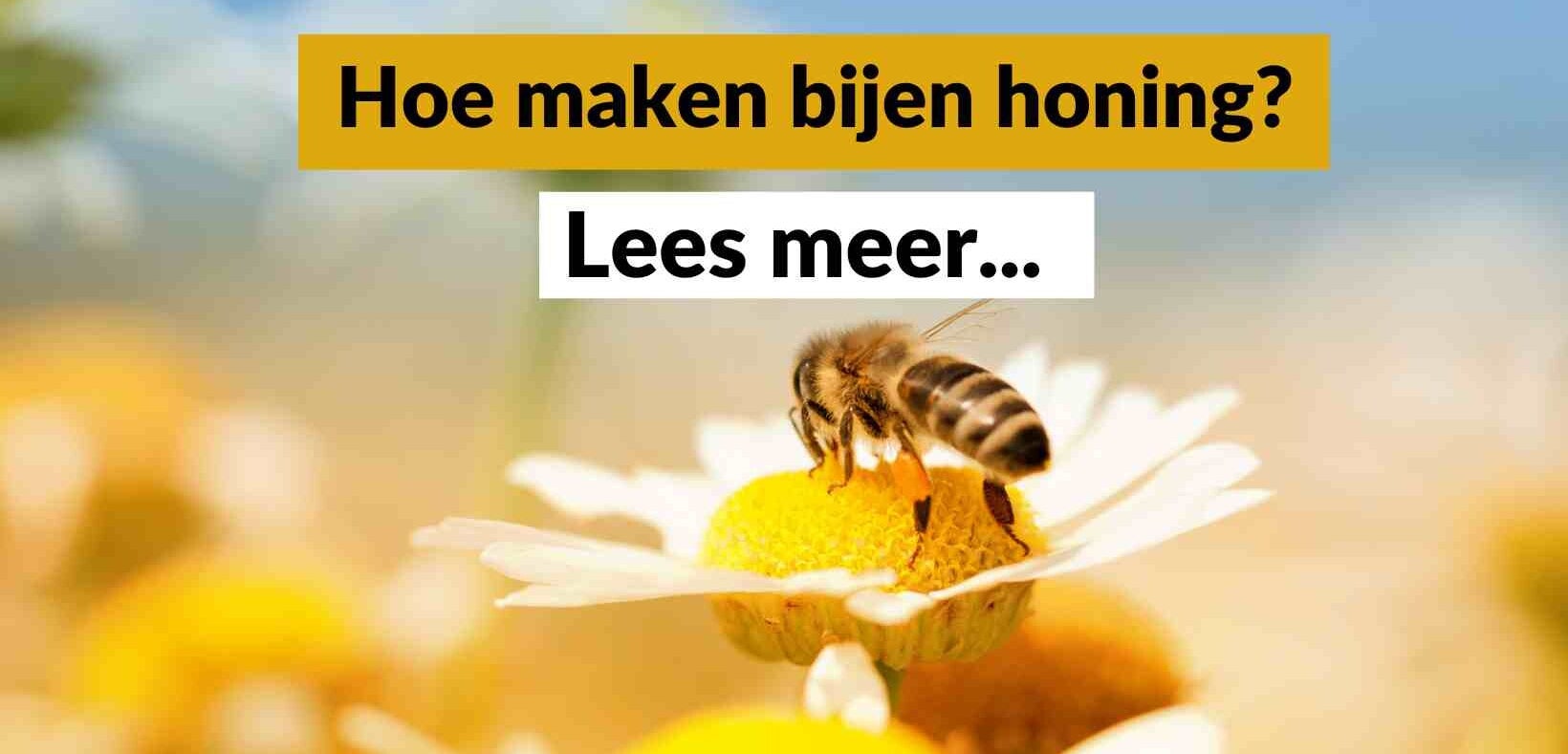 Hoe maken bijen honing? Een diepgaande verkenning