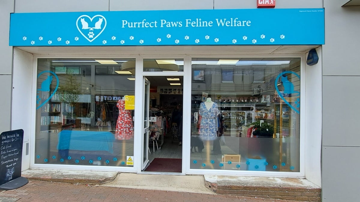 Contact Us | Purrfect Paws Feline Welfare