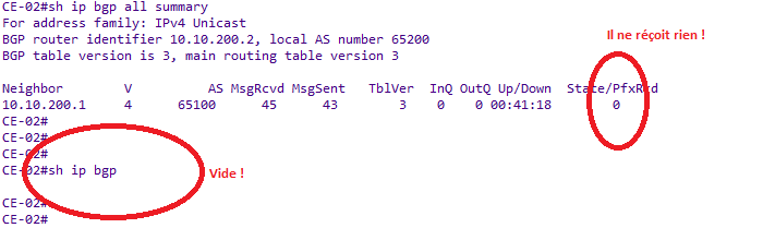 BGP: AS-Override, Allow-as-in et Site-of-Origin (SoO)