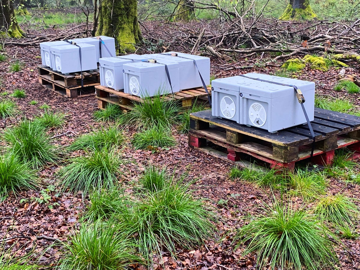 Windingwoodapiary
