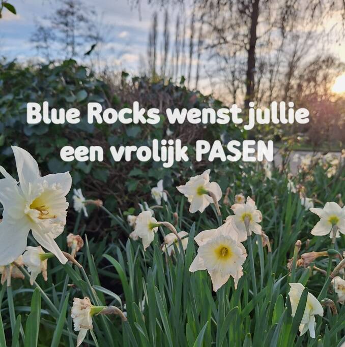 Home [www.basketbluerocks.be]