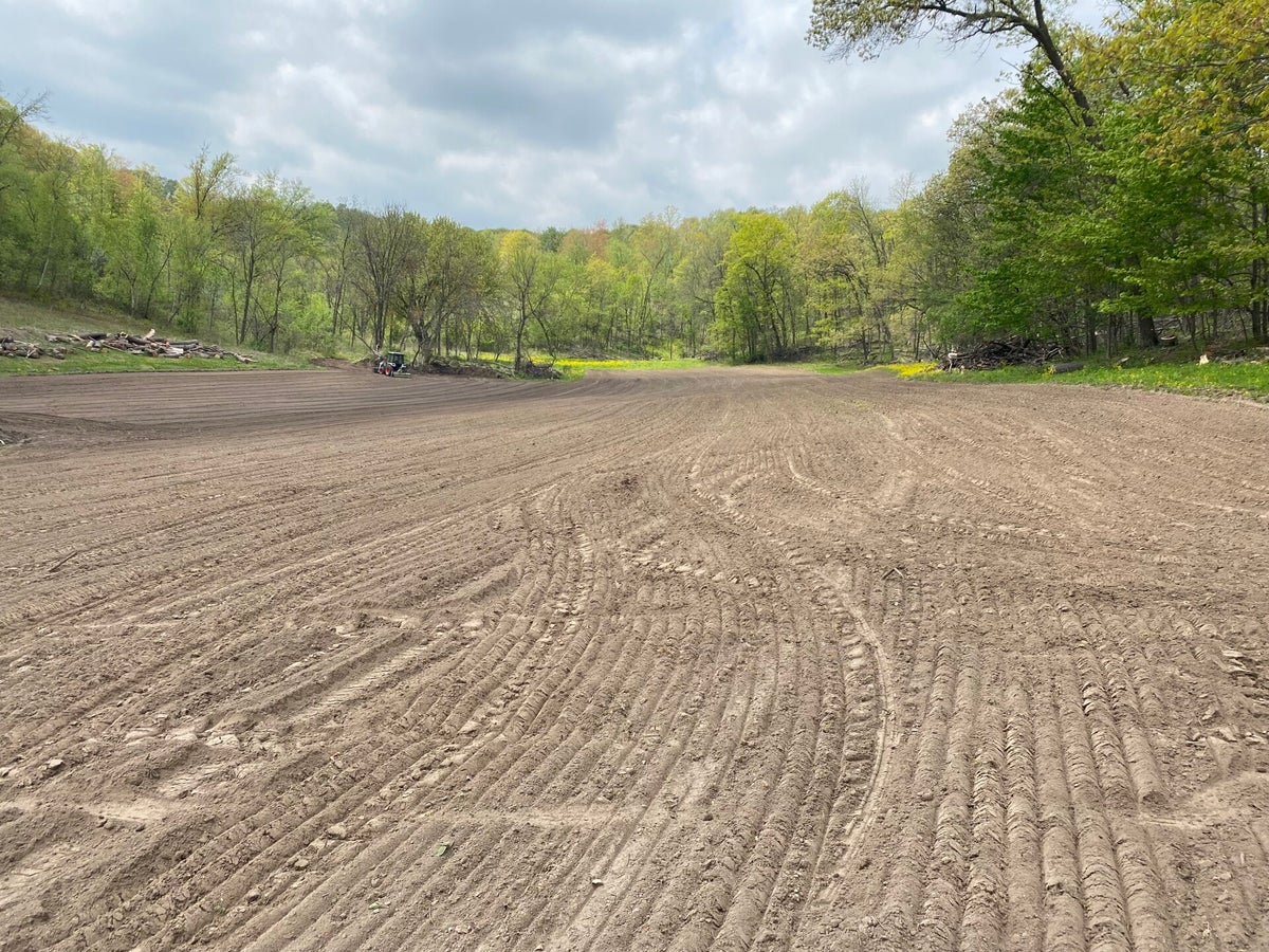 Miller Valley Habitat Improvements