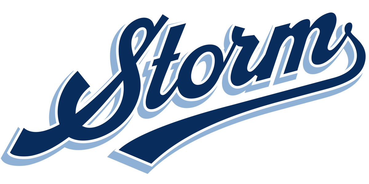 Stormfastpitchteam