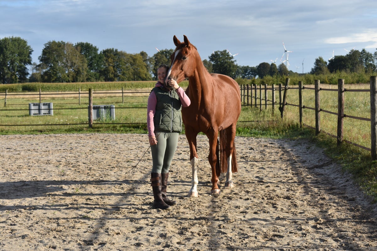 EquiFlow Academy / Hulp nodig? | Atletische Rijkunst