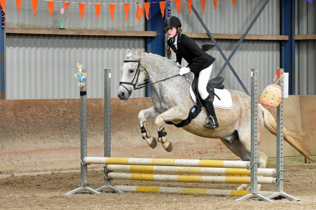 Informatie springwedstrijden (S-proeven) / KNHS informatie Manege ...