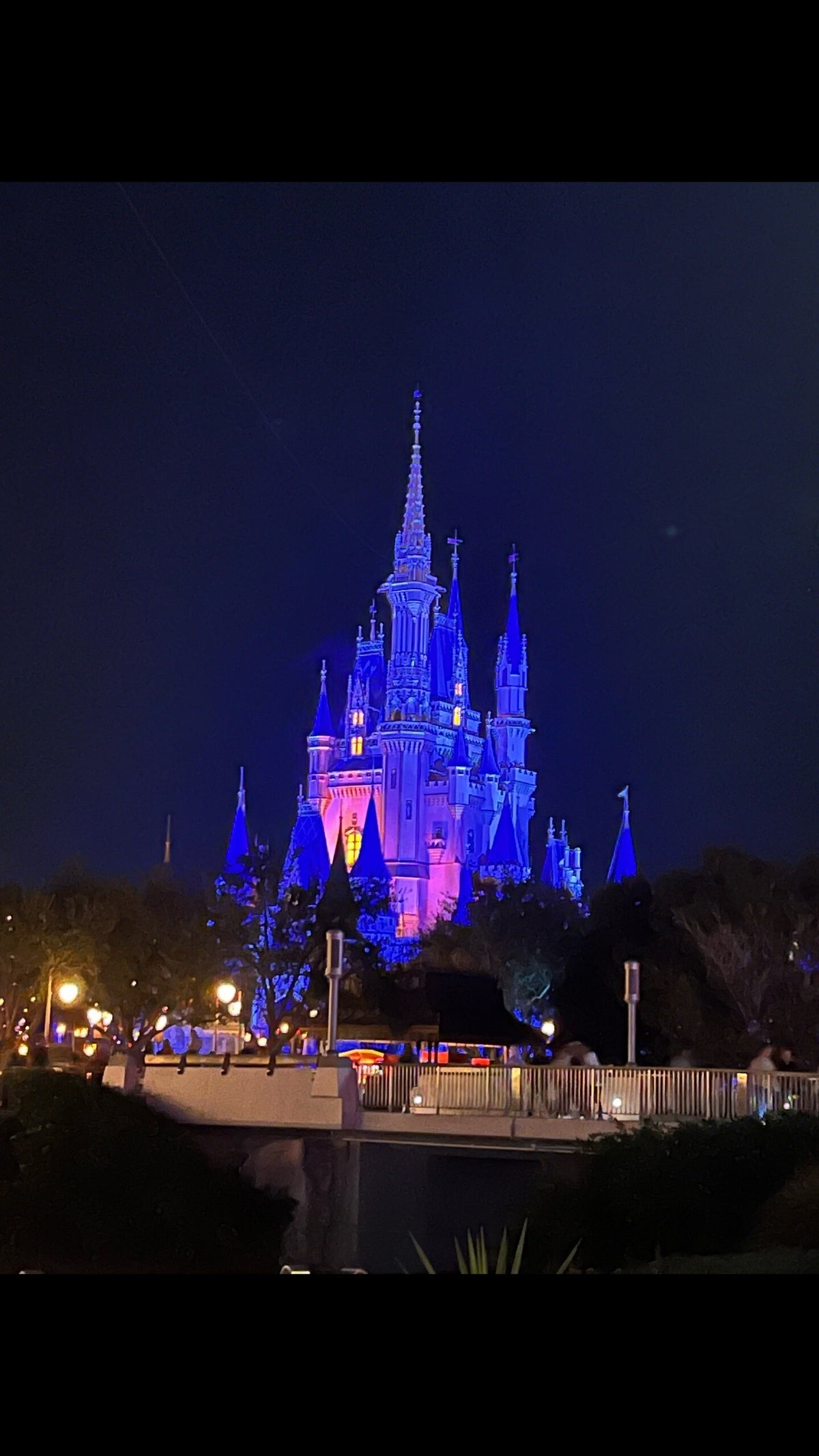 Walt Disney World Resort | Tony and Sandy - Spark A Dream Travel