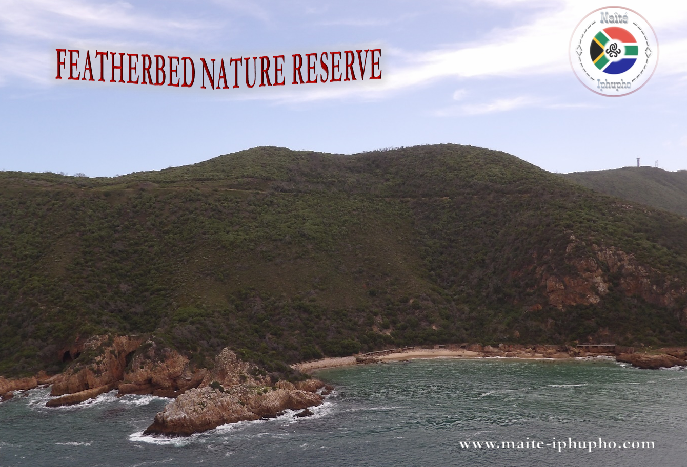 Featherbed Nature Reserve / Albums | www.maite-iphupho.com