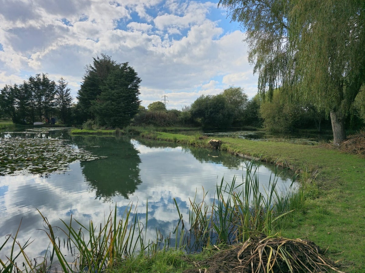 Thames Angling Society