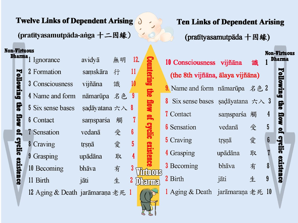 The Ten and Twelve Links of Dependent Origination / Fundamental (52 ...