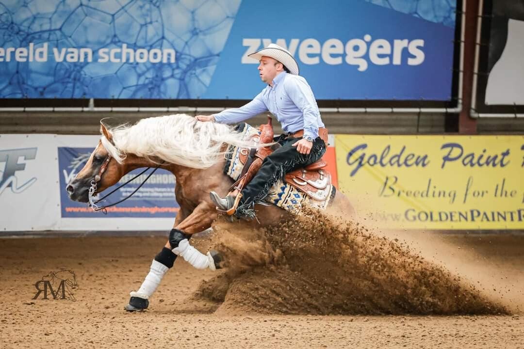 Reining Media