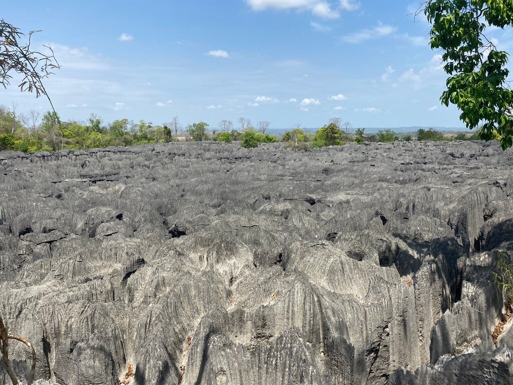Guide to Tsingy de Bemaraha - TravellerThomas