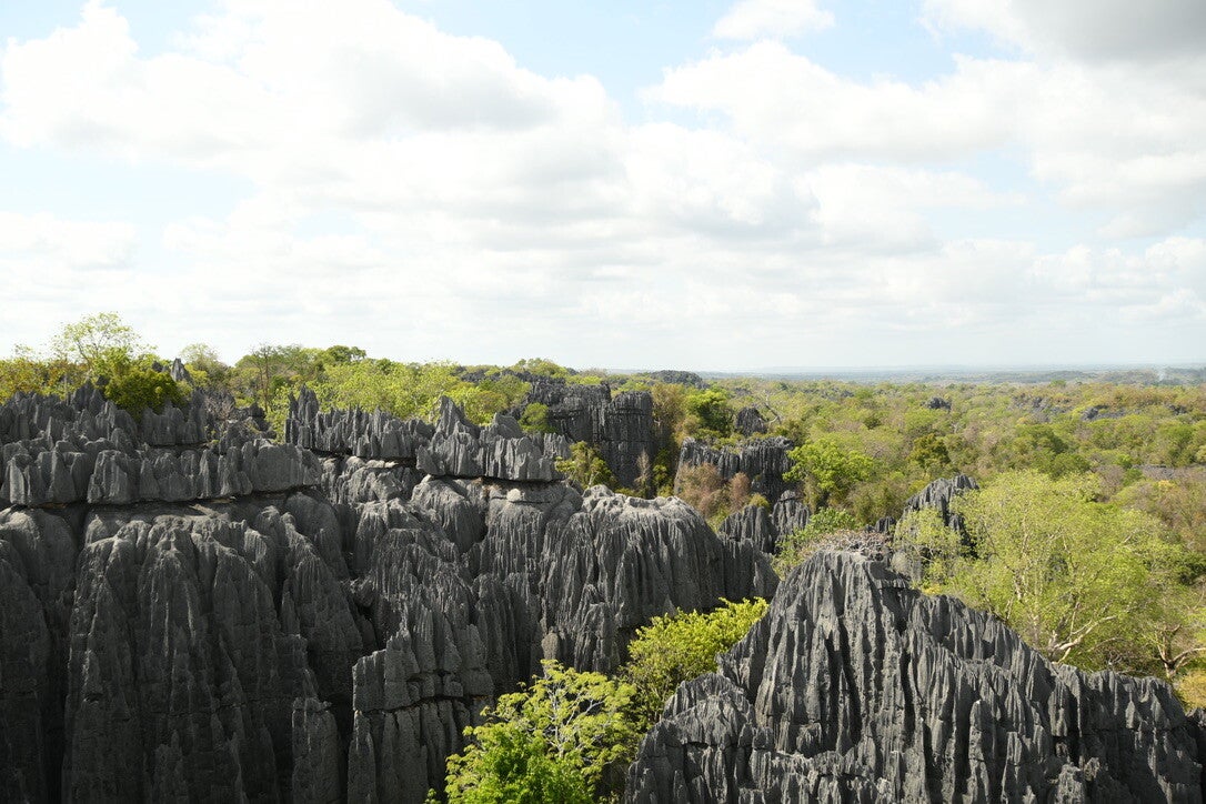 Guide to Tsingy de Bemaraha - TravellerThomas