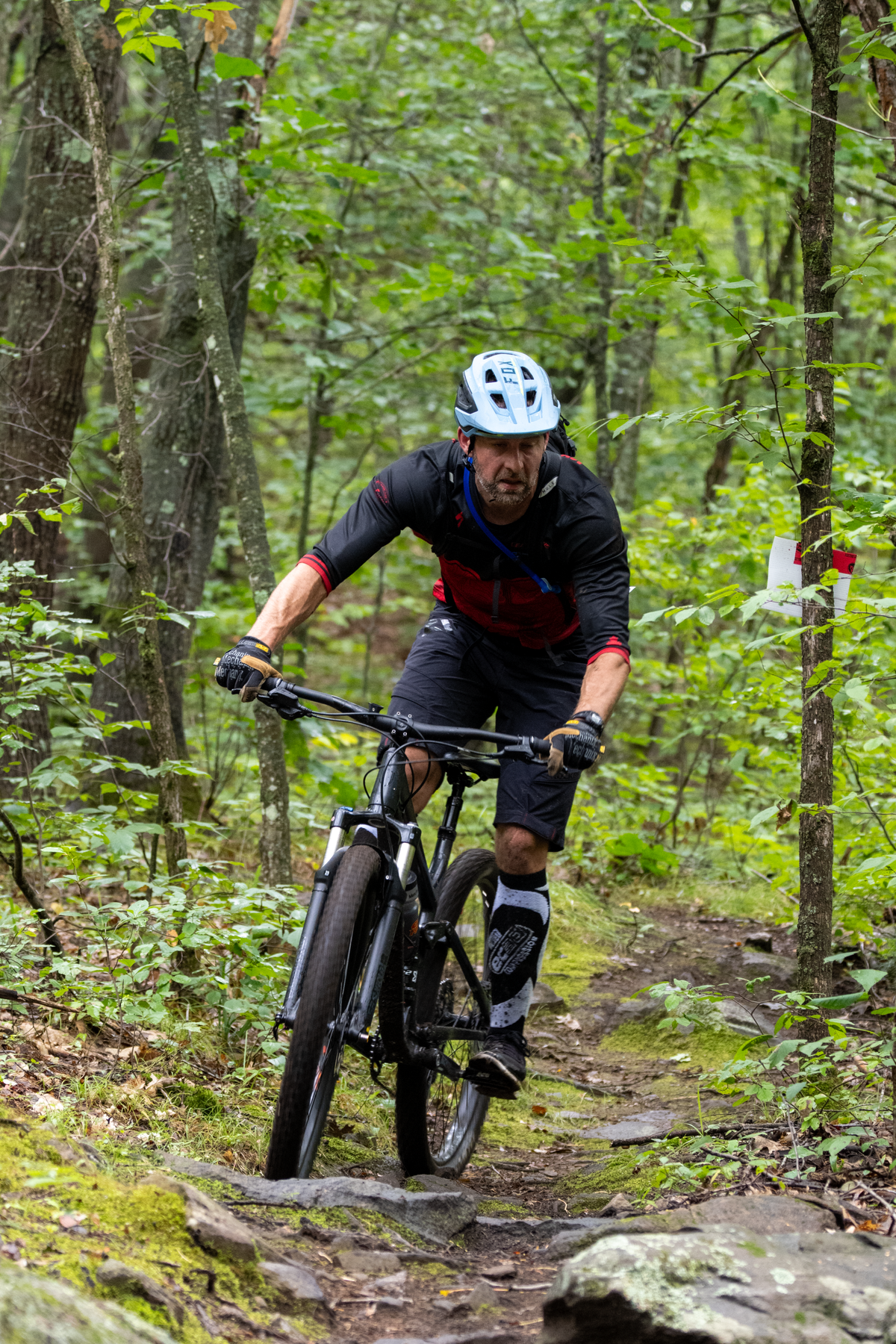 Forest Lea Trails