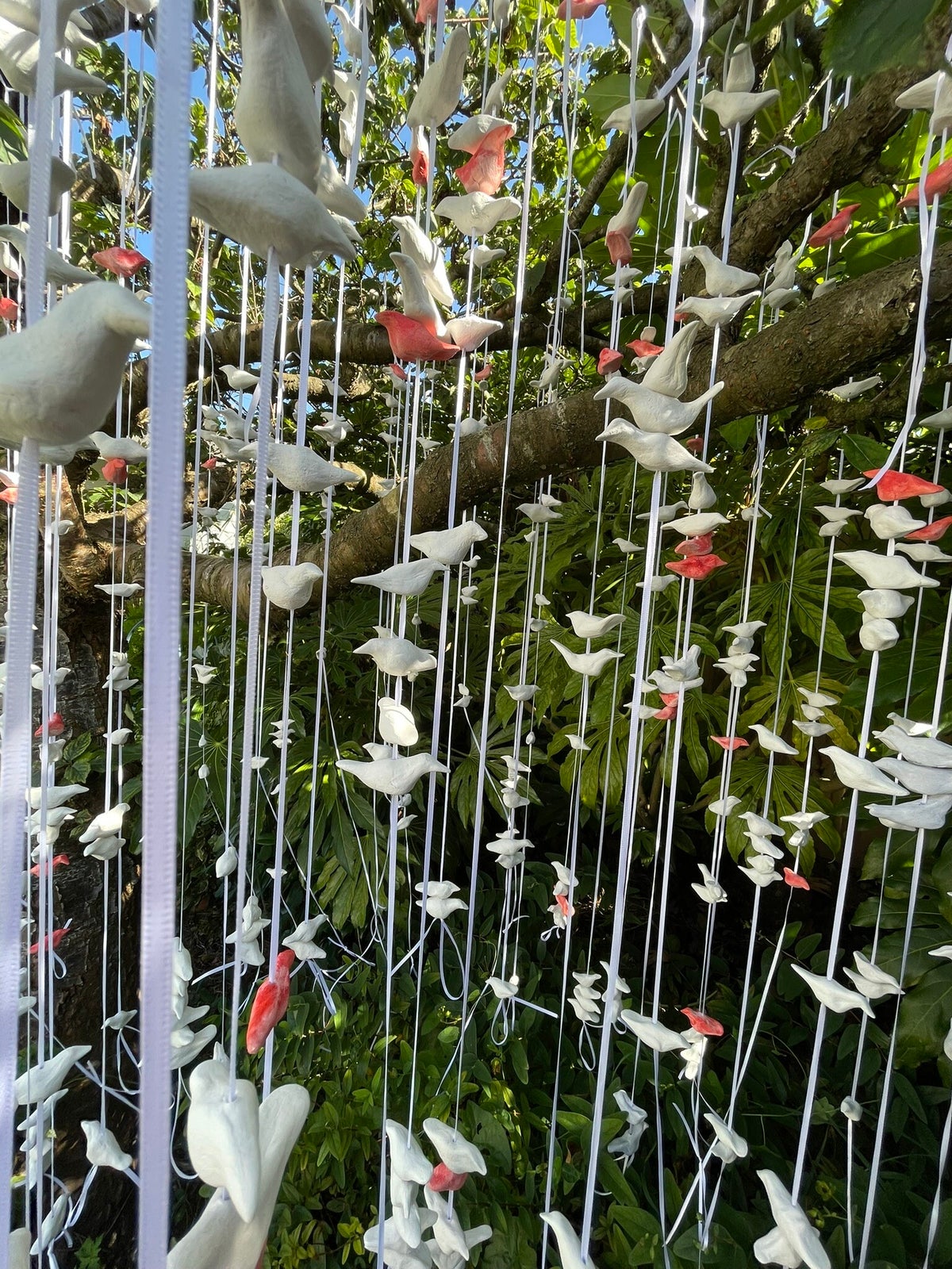 Construction | Vanishing Birds