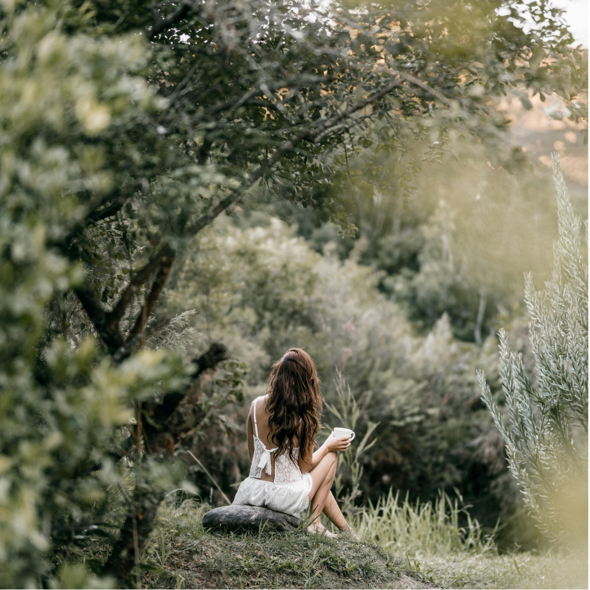 Land Healing | Eden Healing