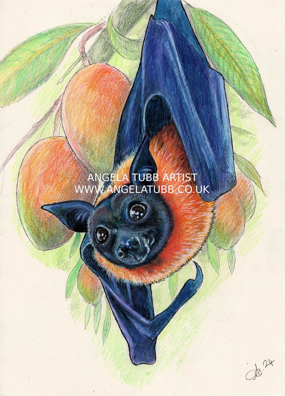 Happy Fruit Bat in Mango Tree | angelatubbartist