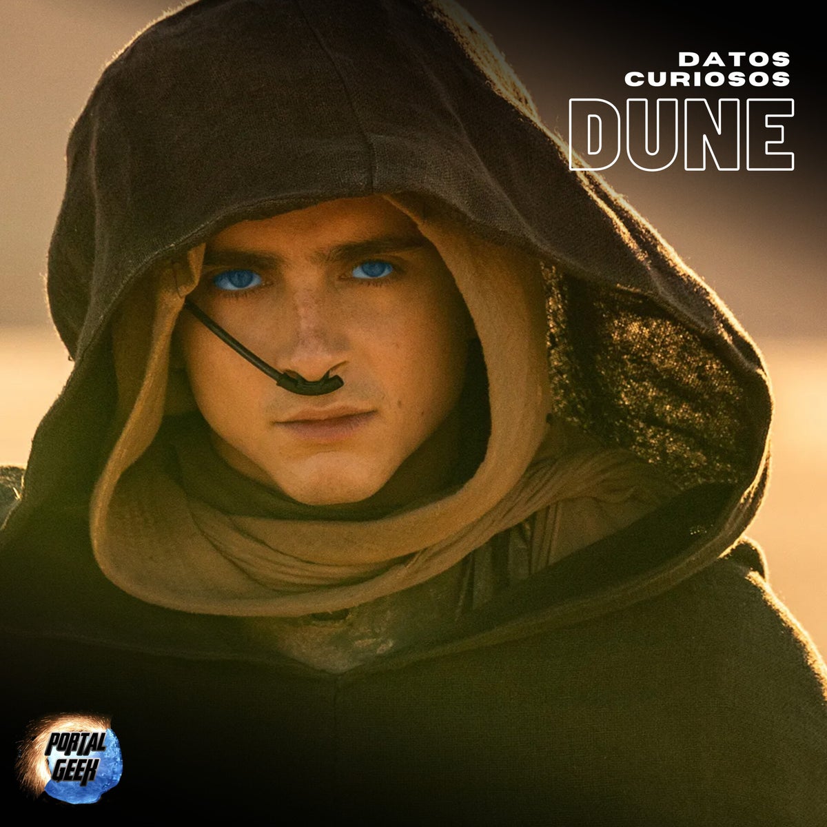 DATOS CURIOSOS QUE DEBES CONOCER DE DUNE / Blog | Tu Portal Geek