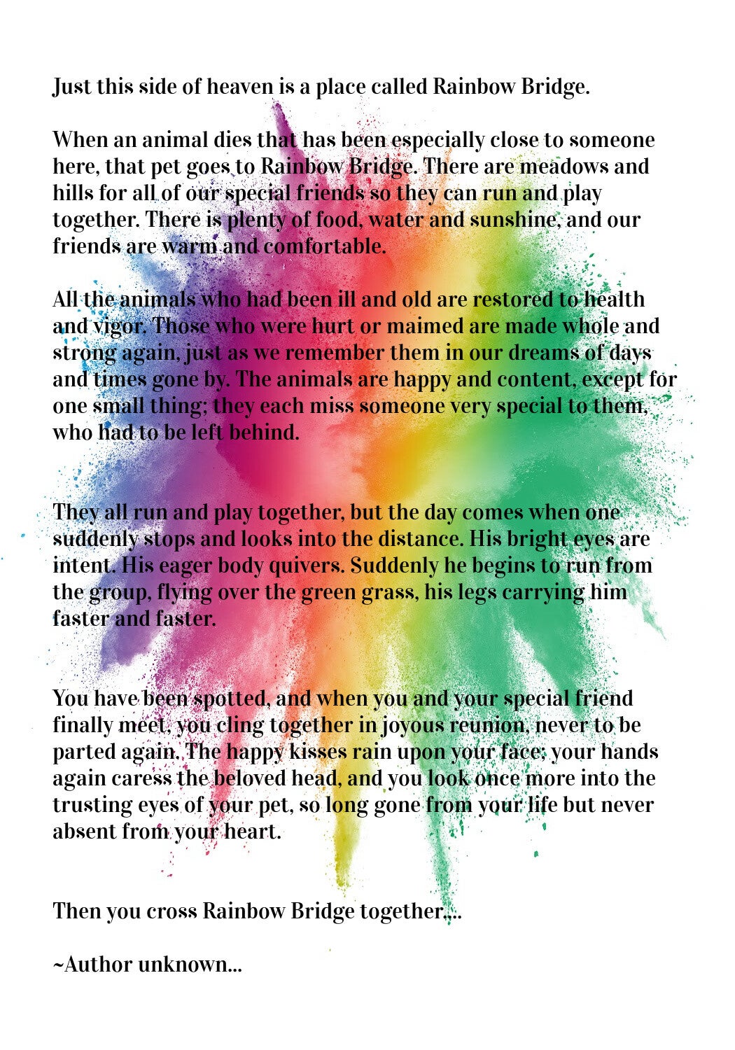 Rainbow Bridge | Darkwindbordercollies.com