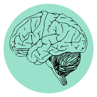 Functionele tremor (trillen) | Functionele Neurologische Stoornis