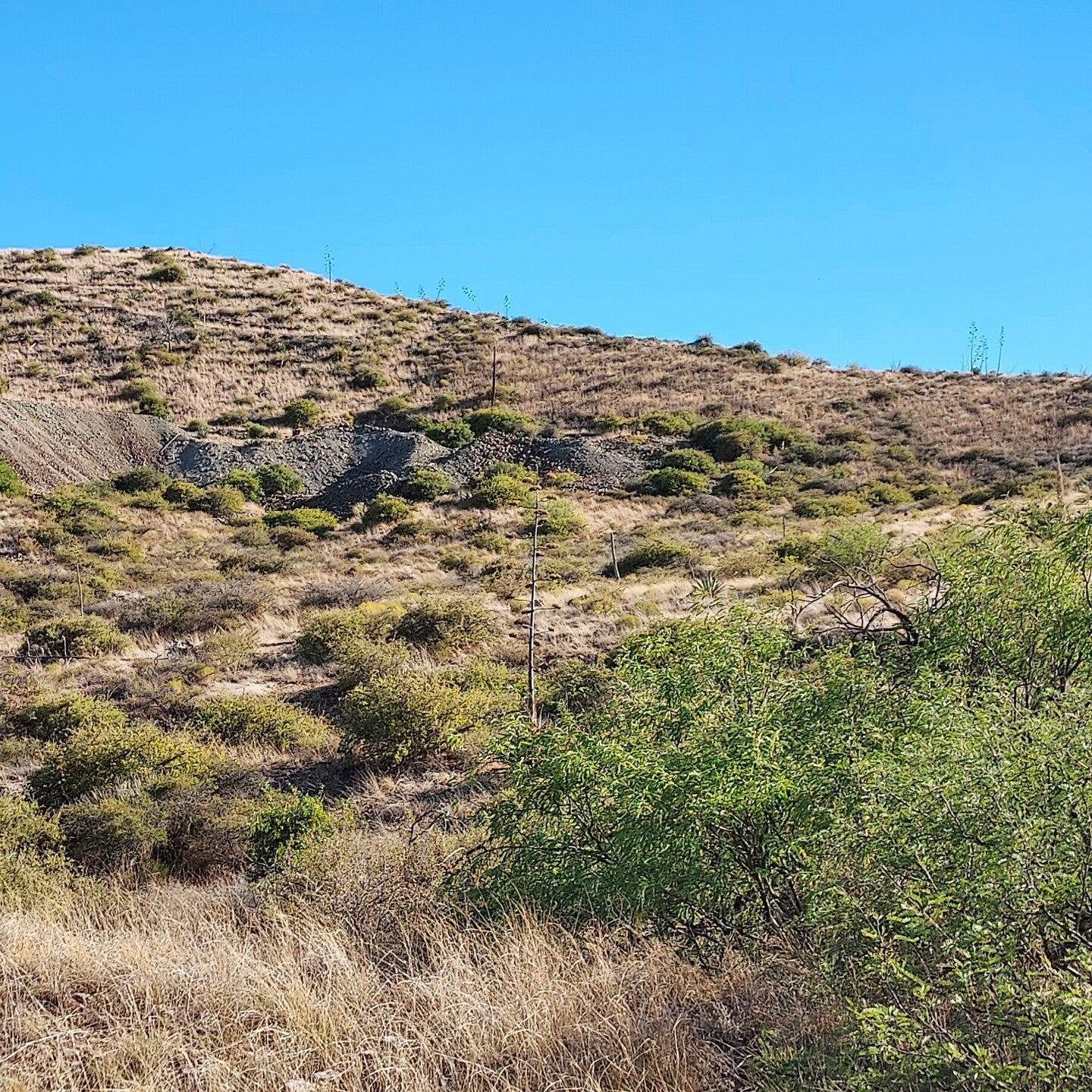 Johnson Camp Mines Complex